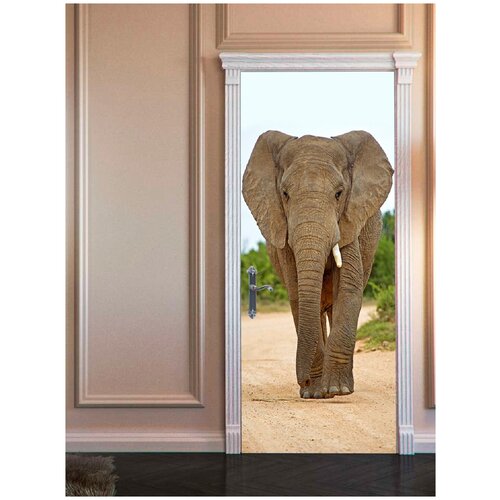 Наклейка интерьерная на дверь "Слон", 80х200 см самоклеющаяся