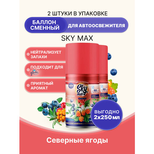 SKY MAX Освежитель для диспенсера Северные ягоды 250мл/2шт