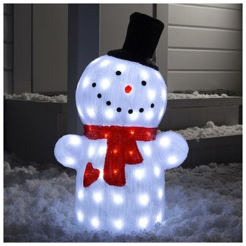 Luazon Lighting Светодиодная фигура «Снеговик в цилиндре» 25 × 60 × 25 см, акрил, 50 LED, 24 В, свечение белое
