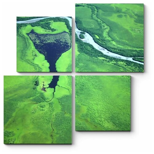 Модульная картина Зеленые поля и река с высоты птичьего полета70x70
