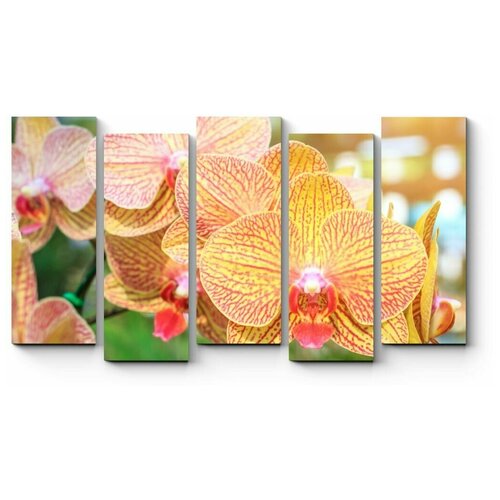 Модульная картина Тайская орхидея 170x98
