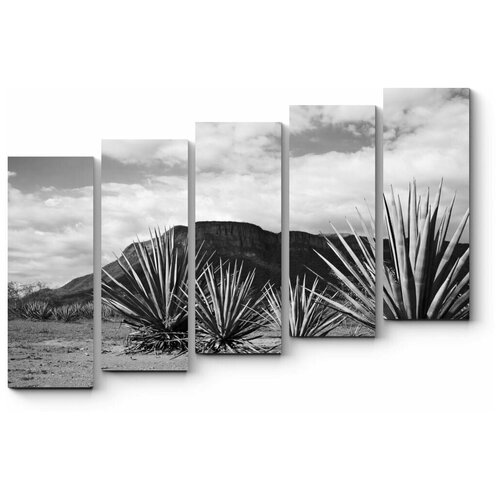Модульная картина Мексиканский пейзаж 190x133