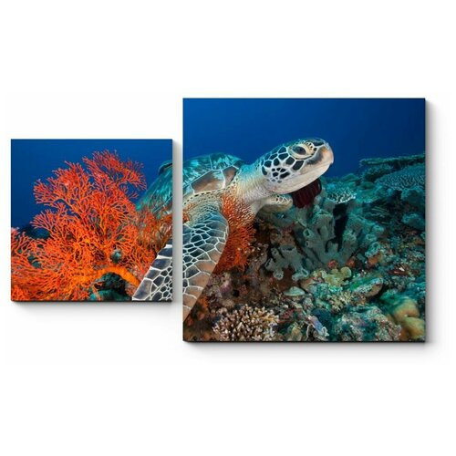 Модульная картина Морская черепаха в кораллах50x30