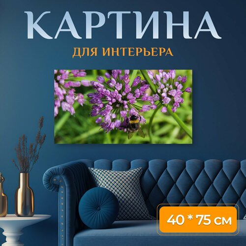 Картина на холсте "Шмель, цветок, фиолетовый" на подрамнике 75х40 см. для интерьера