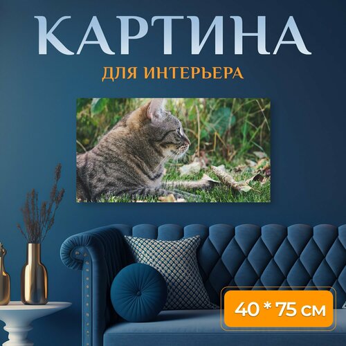 Картина на холсте "Кошка, открытый, полосатый" на подрамнике 75х40 см. для интерьера