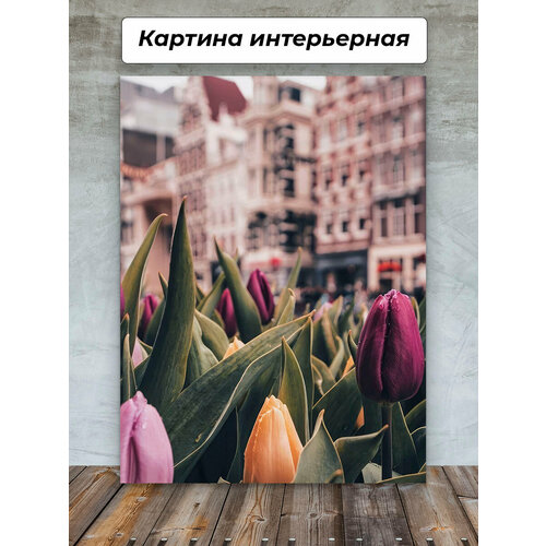 Картины для интерьера 30х40 Тюльпаны цветы город