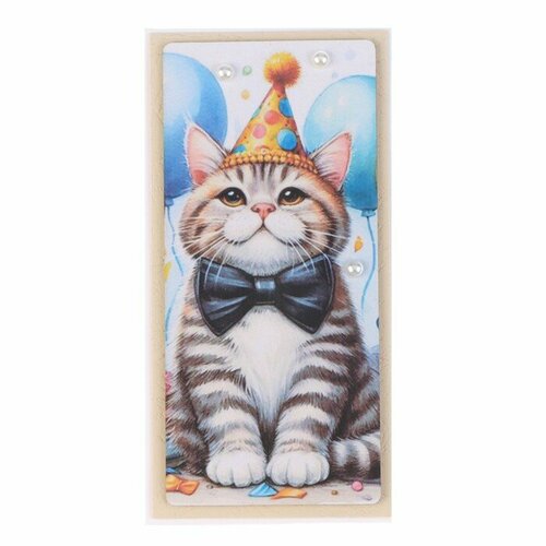 Стильная открытка Конверт для денег "С Днём Рождения!" кот с колпаком, ручная работа, 16х8 см
