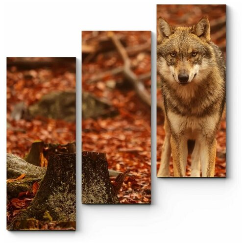 Модульная картина Волк в осеннем лесу 110x117
