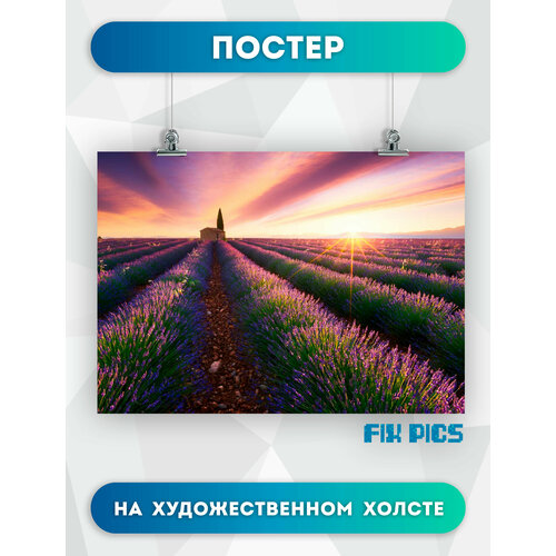 Постер на холсте Лавандовые поля, цветы и закат 50х70 см