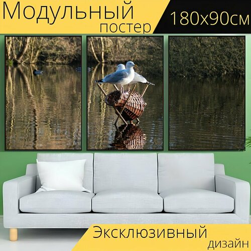 Модульный постер "Чайки, птицы, озеро" 180 x 90 см. для интерьера