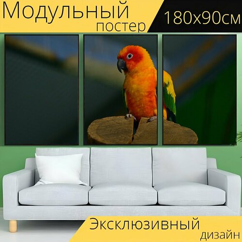 Модульный постер "Попугай, дикая природа, птица" 180 x 90 см. для интерьера