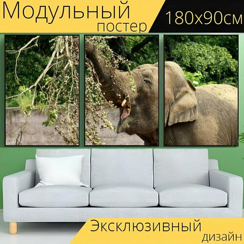 Модульный постер "Слон, труба, млекопитающее" 180 x 90 см. для интерьера
