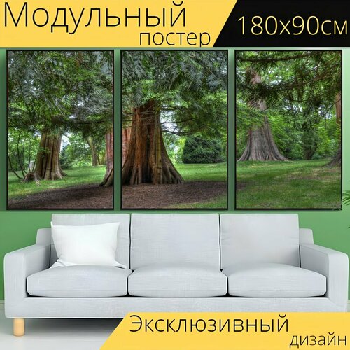 Модульный постер "Дерево, тропа, лес" 180 x 90 см. для интерьера