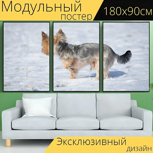 Модульный постер "Собака, небольшой, зима" 180 x 90 см. для интерьера