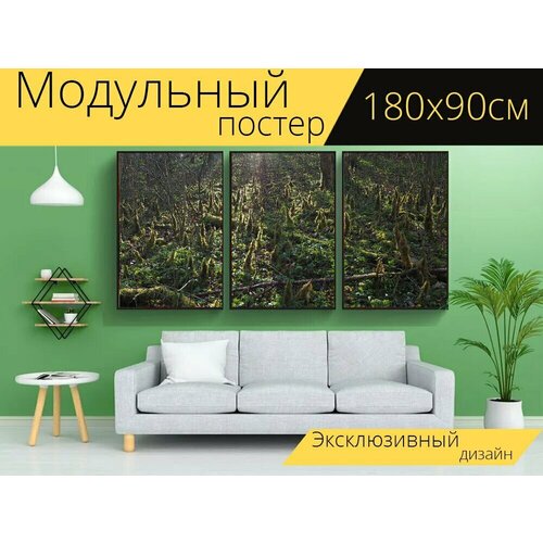Модульный постер "Лес, подсветка, мох" 180 x 90 см. для интерьера