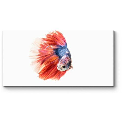 Модульная картина Красно-синяя рыбка 80x40