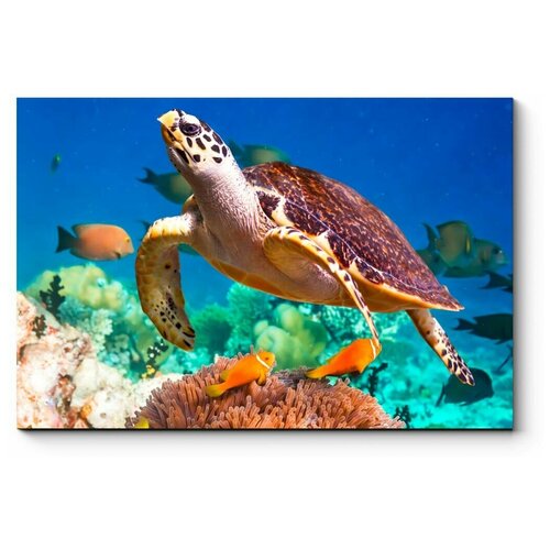 Модульная картина Черепаха в коралловом рифе30x20