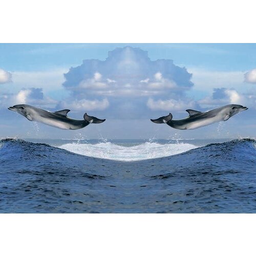 Дельфин картина постер 20 на 30 см, шнур-подвес в подарок