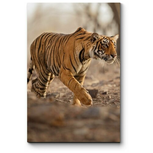 Модульная картина Тигр на охоте60x90