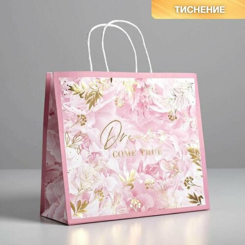 Пакет подарочный Дарите Счастье - Dreams, крафтовый, 26х30х11.5 см, 1 шт