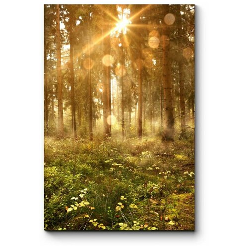 Модульная картина Лучи солнца, пронизывающие лес 100x150