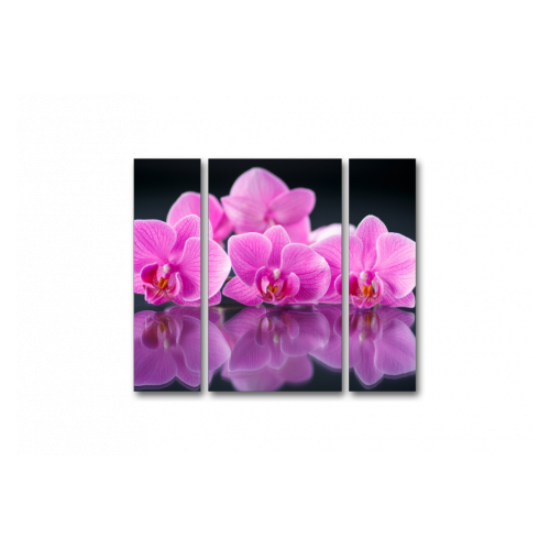 Модульная картина на стекле | Diva Kartina | Цветы. Три орхидеи | 80X70 см
