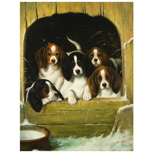 Постер на холсте Щенки (Puppies) №3 50см. x 66см.