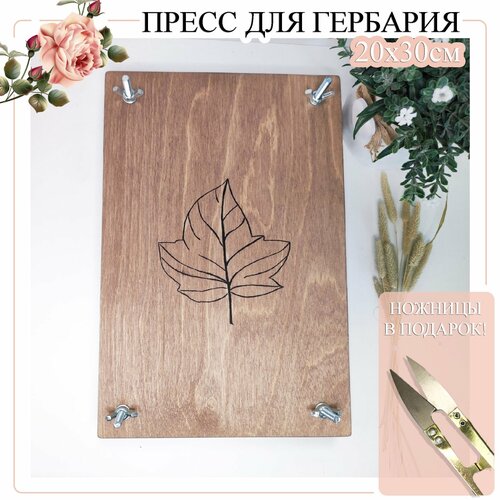 Пресс для гербария 20*30 см
