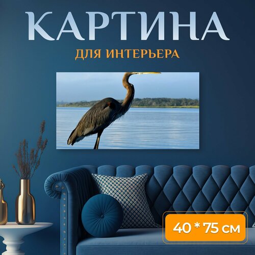 Картина на холсте "Голубая цапля, птица, цапля" на подрамнике 75х40 см. для интерьера