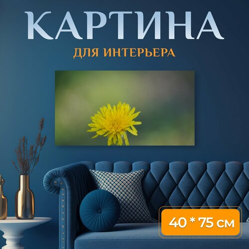 Картина на холсте "Одуванчик, желтый, весна" на подрамнике 75х40 см. для интерьера