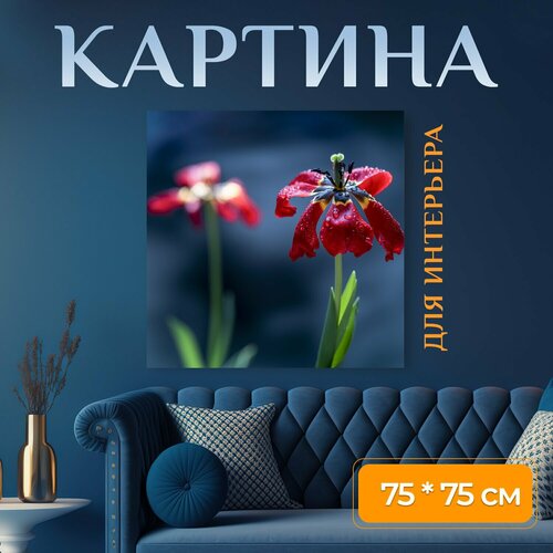 Картина на холсте "Природа, цветок, весна" на подрамнике 75х75 см. для интерьера