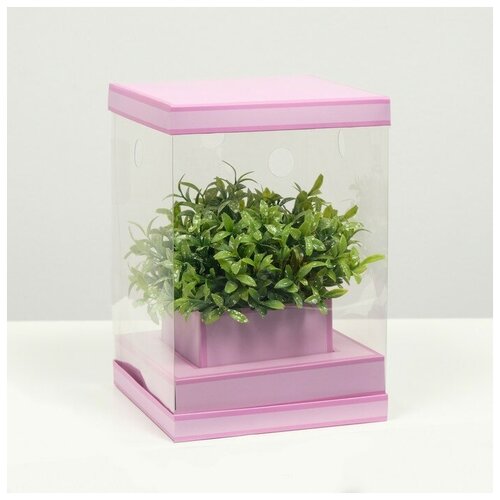 Коробка для цветов с вазой и PVC окнами складная, сиреневый, 16 х 23 х 16 см 7668281