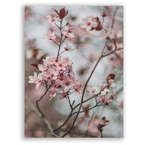 Постер цветы на бумаге / Sakura / Сакура