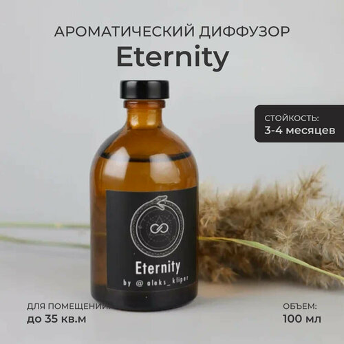 Ароматический диффузор Eternity Бесконечность / ароматизатор для дома с палочками 100 мл