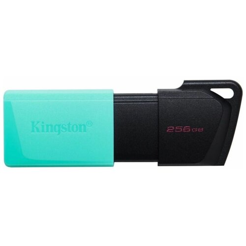 Флеш Диск Kingston 256Gb DataTraveler Exodia M USB 3.2 black mint (DTXM/256GB)
