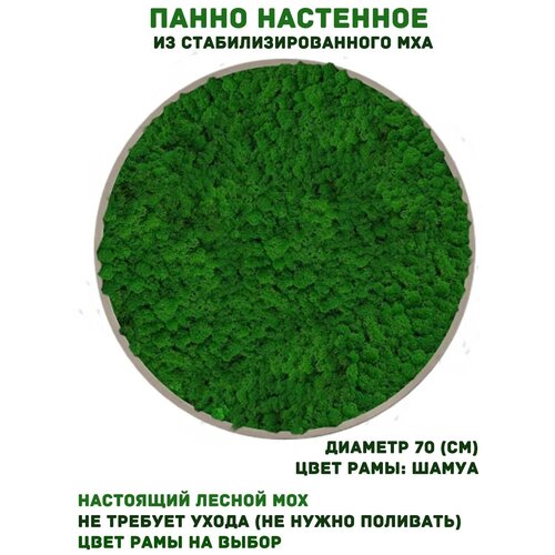 Круглое панно из стабилизированно мха GardenGo в рамке цвета шамуа диаметр 70 см, цвет мха зеленый