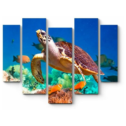Модульная картина Черепаха в коралловом рифе141x114