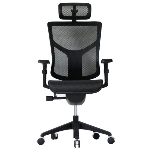 Кресло Expert VISTA VSM01-BK (сетка черная / каркас черный)