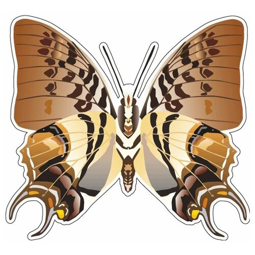 Наклейка декоративная Бабочка 12x11см