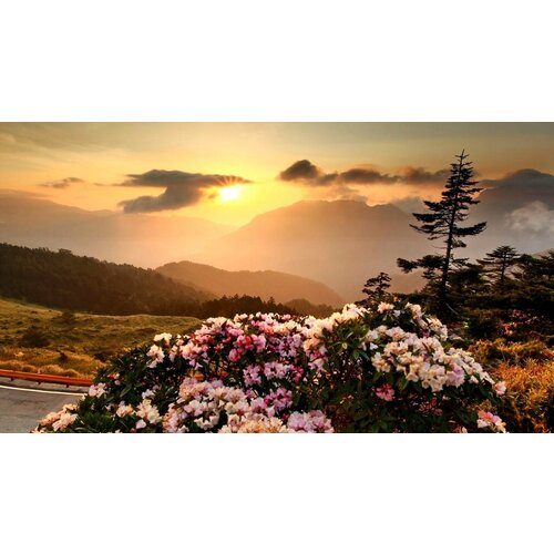 Картина на холсте 60x110 LinxOne "Закат цветы горы пейзаж небо" интерьерная для дома / на стену / на кухню / с подрамником