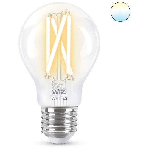 Лампа WiZ Wi-Fi BLE 60WST64E27927-65CL1PF/6