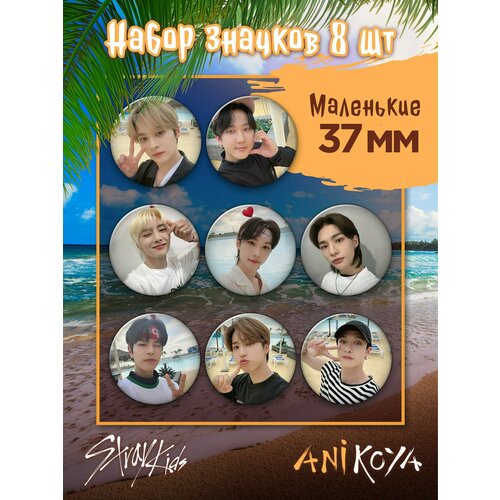 Значки Стрей Кидс / Stray Kids 8 шт 37 мм AniKoya мерч