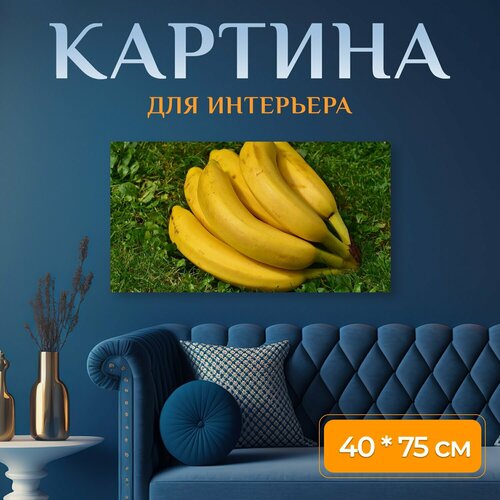 Картина на холсте "Бананы, фрукты, здоровый" на подрамнике 75х40 см. для интерьера