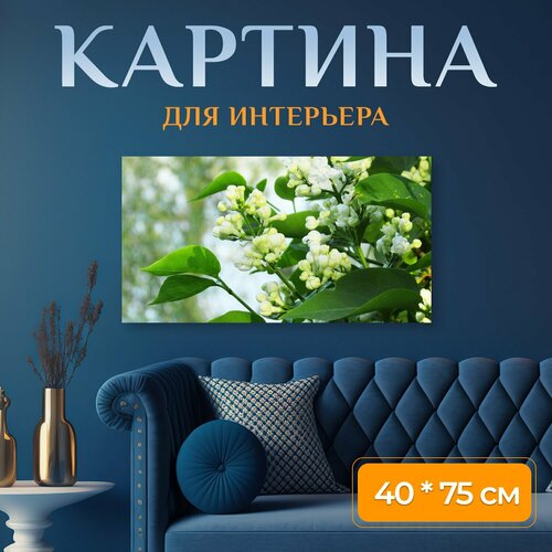 Картина на холсте "Сирень, белый, весна" на подрамнике 75х40 см. для интерьера