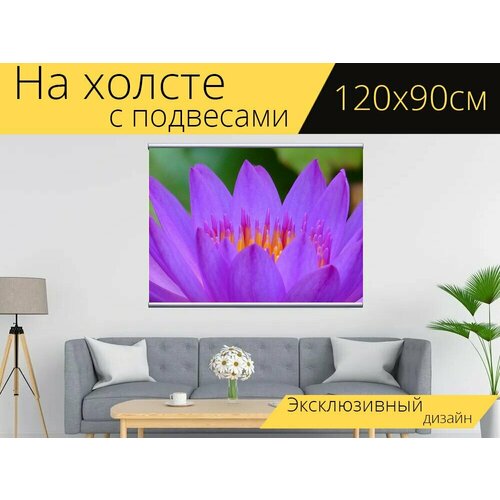 Картина на холсте "Водяная лилия, цвести, цветок" с подвесами 120х90 см. для интерьера