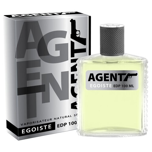 Today Parfum парфюмерная вода Agent Egoiste, 100 мл, 122 г