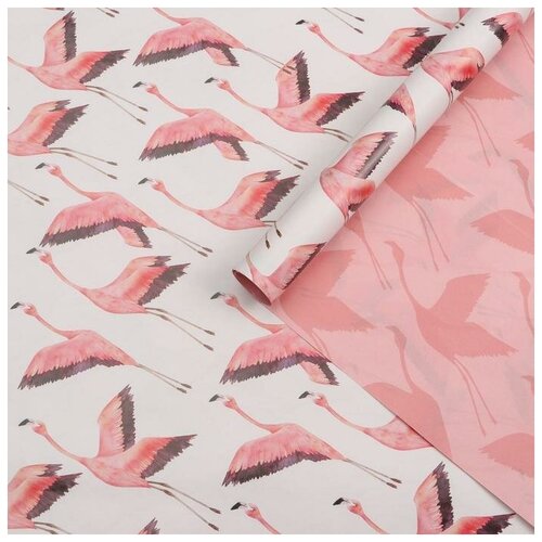Бумага упаковочная глянцевая двусторонняя «Фламинго», 70 × 100 см