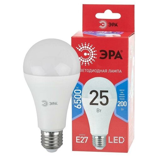 Лампа светодиодная ECO LED A65-25W-865-E27 R (диод груша 25Вт холодн. E27) (10/100/1200) Эра Б0048011 (2шт. в упак.)