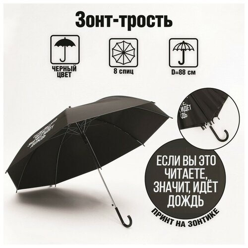 Зонт-трость Radel, полуавтомат, купол 91 см, 8 спиц, черный, мультиколор