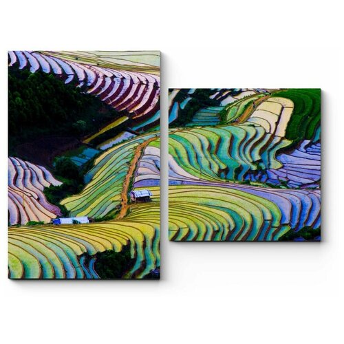 Модульная картина Рисовые поля, Вьетнам 110x83